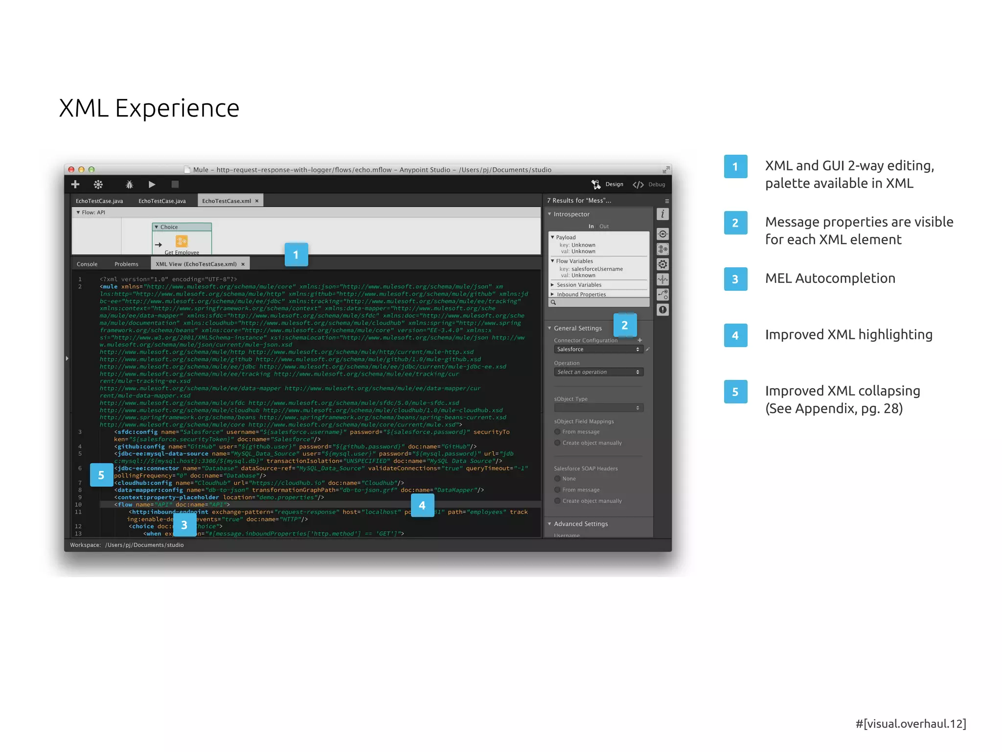 Anypoint Studio Visual Overhaul | PDF