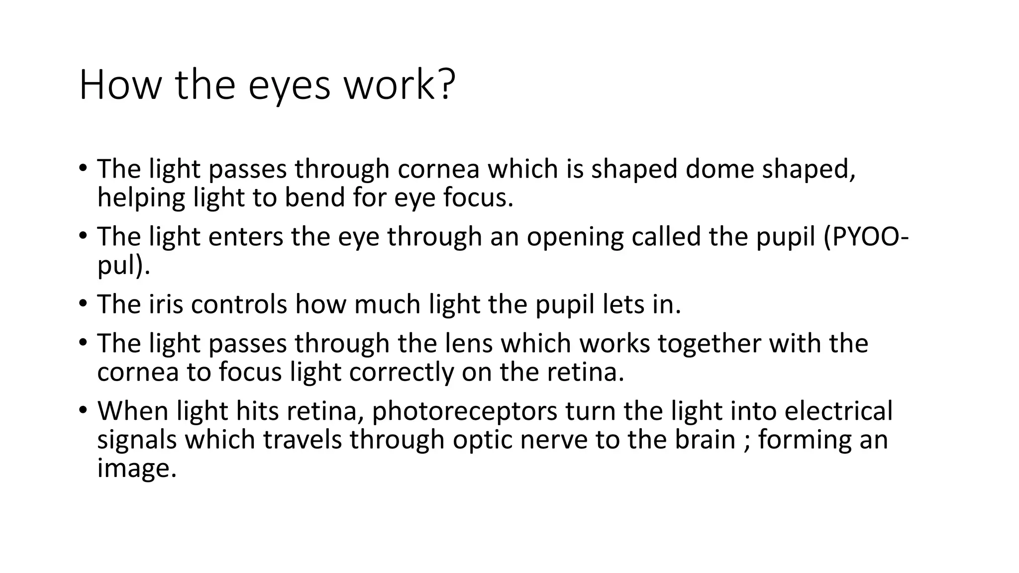 VISUAL REFLEXES.pptx