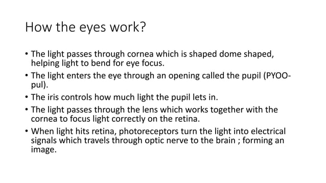 VISUAL REFLEXES.pptx