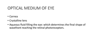 VISUAL REFLEXES.pptx