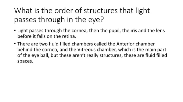 VISUAL REFLEXES.pptx