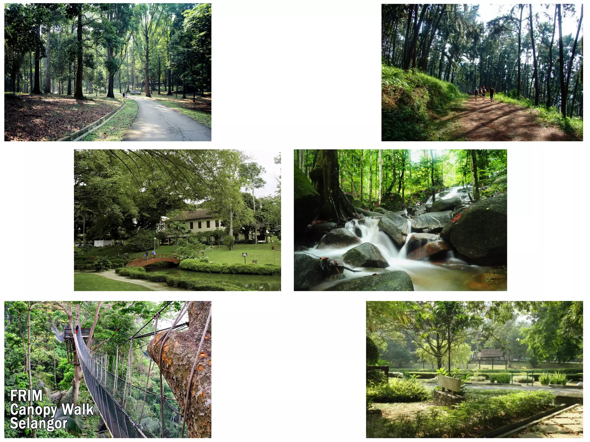 Visual research methodology | PPT