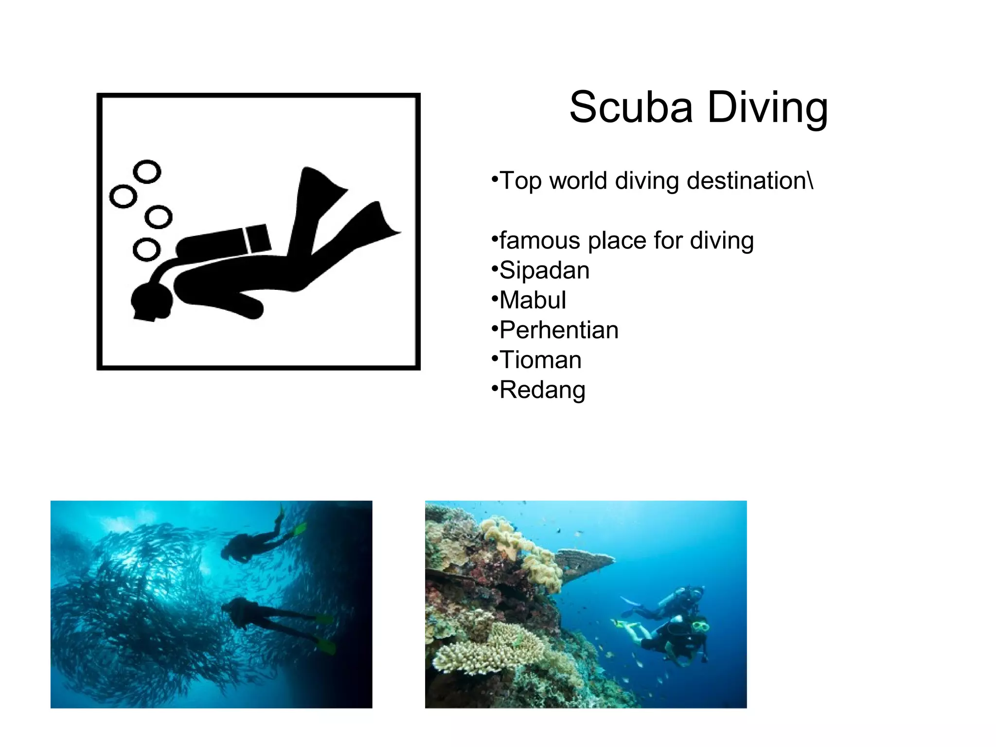 Visual research methodology | PPT