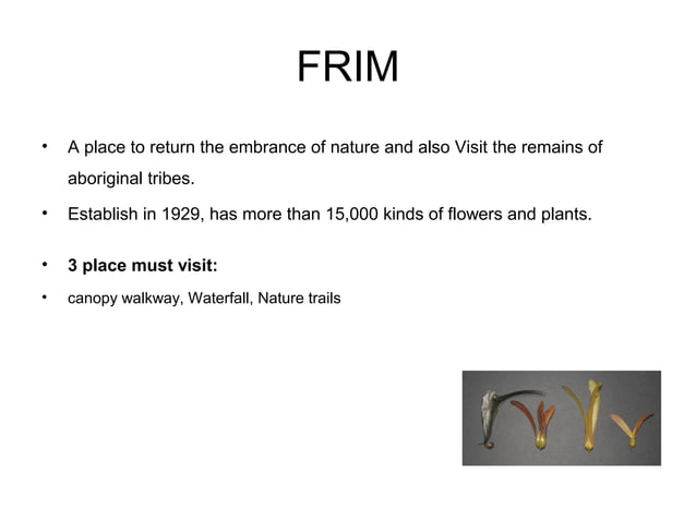 Visual research methodology | PPT