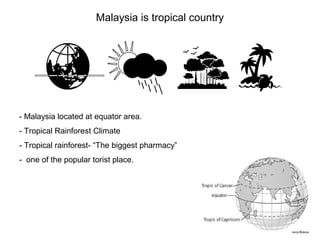 Visual research methodology | PPT