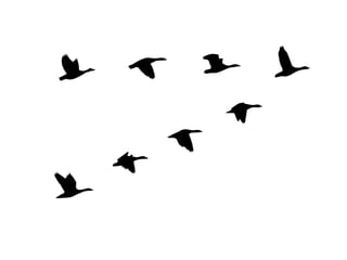 Visual research methodology | PPT