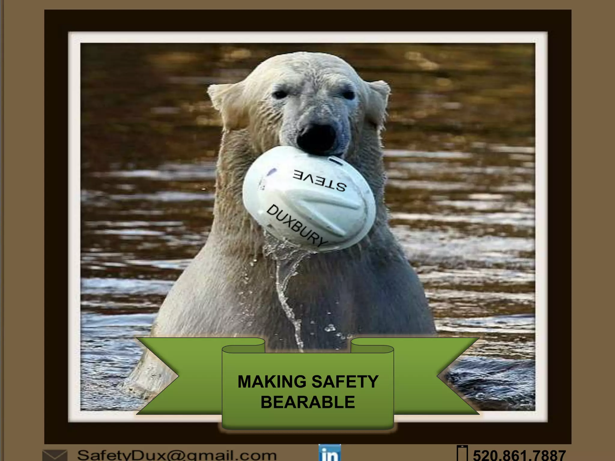 Safety Professional Overview | PPTX