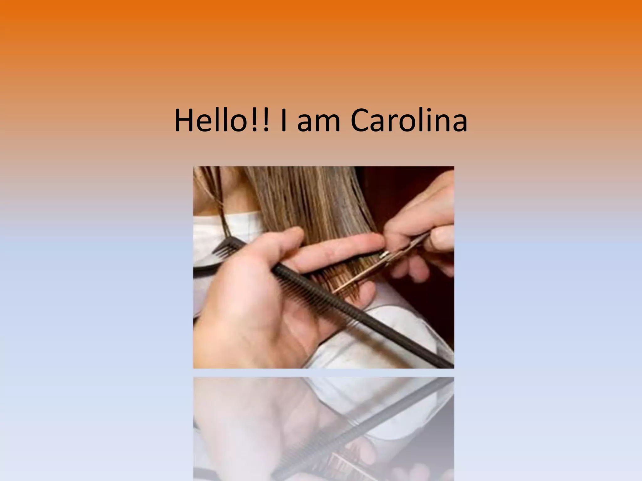 Visual resumen | PDF