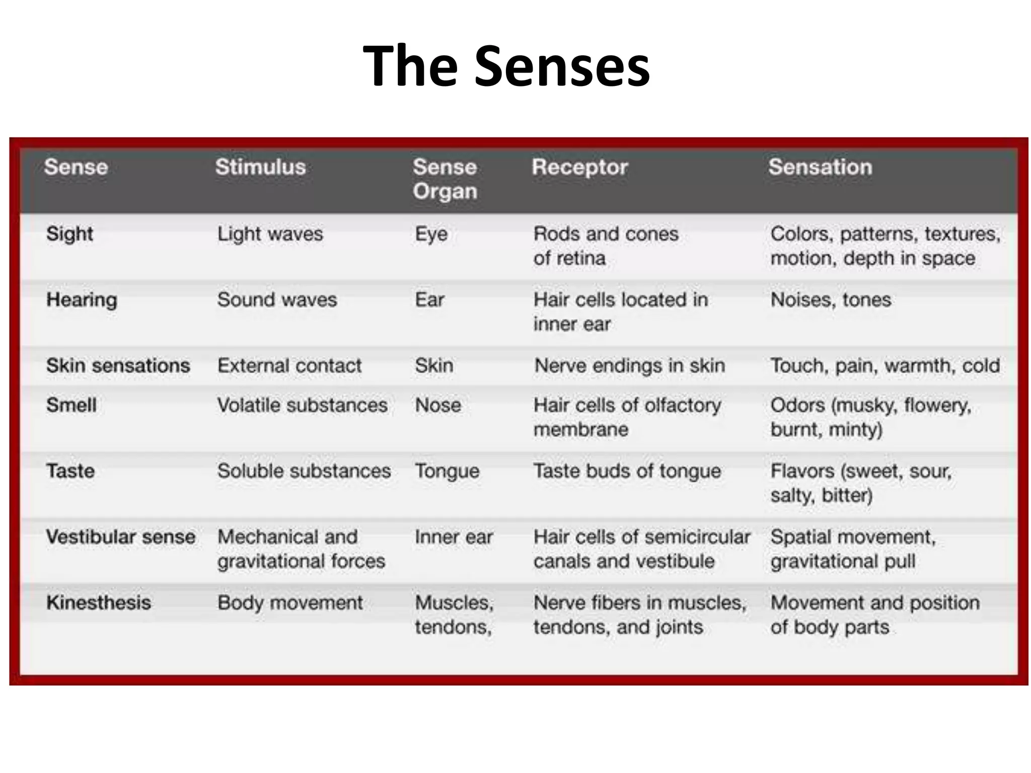 AP Psych Visual review | PPT