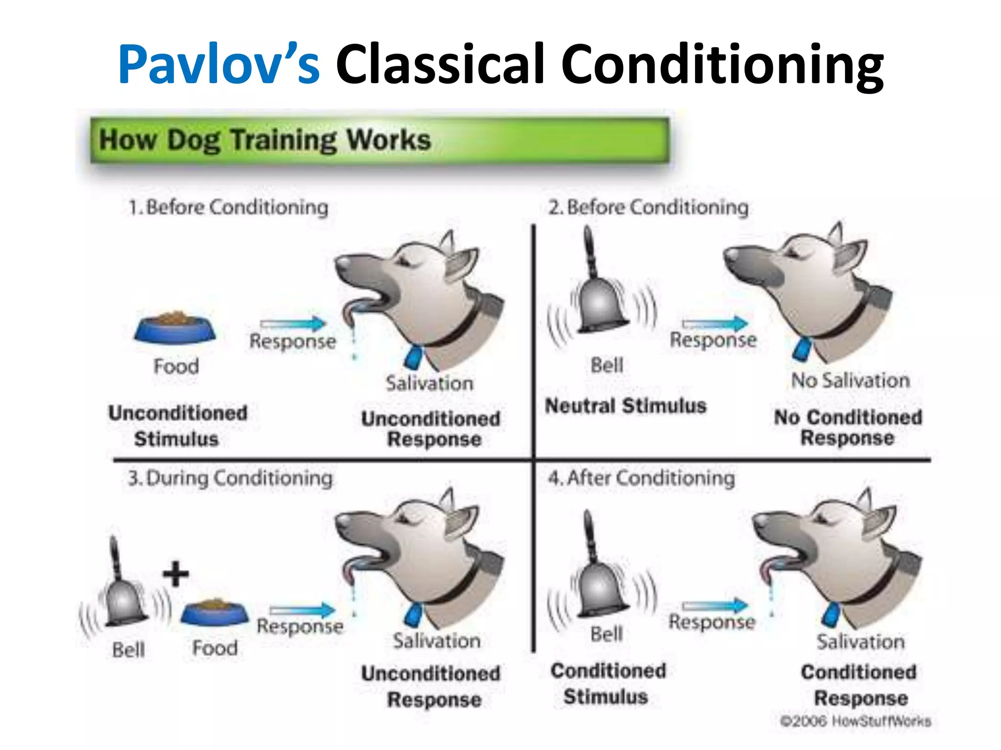 AP Psych Visual review | PPTX