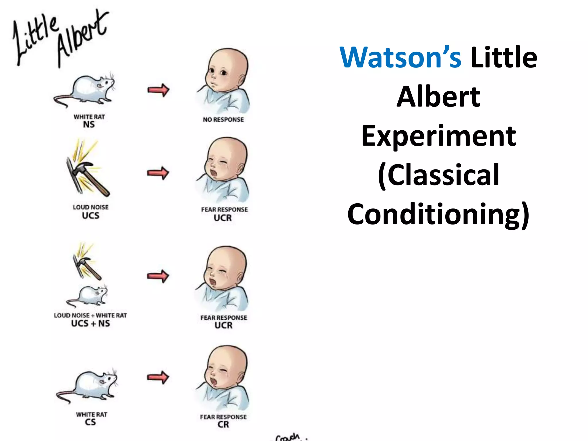 AP Psych Visual review | PPTX