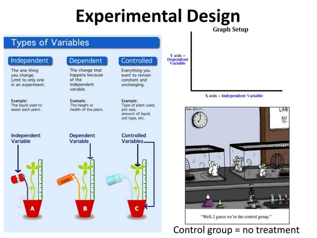 AP Psych Visual review | PPT