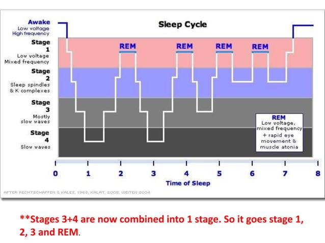 AP Psych Visual review | PPT