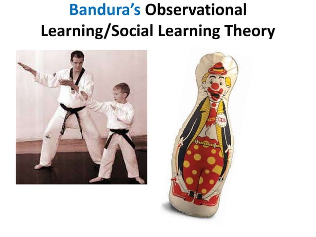 AP Psych Visual review | PPT