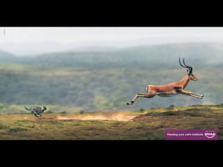 Visual rhetoric presentation | PPT