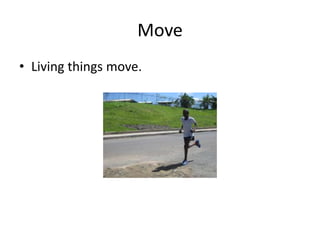 Visuals[1], | PPTX | Biological Sciences | Science