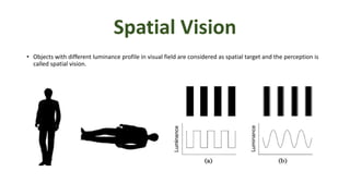 Visual science: All in one | PPTX