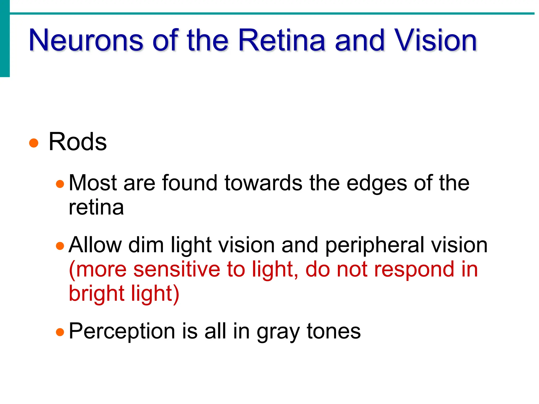 visual sense eye structures of eye anatomy of eye .pptx