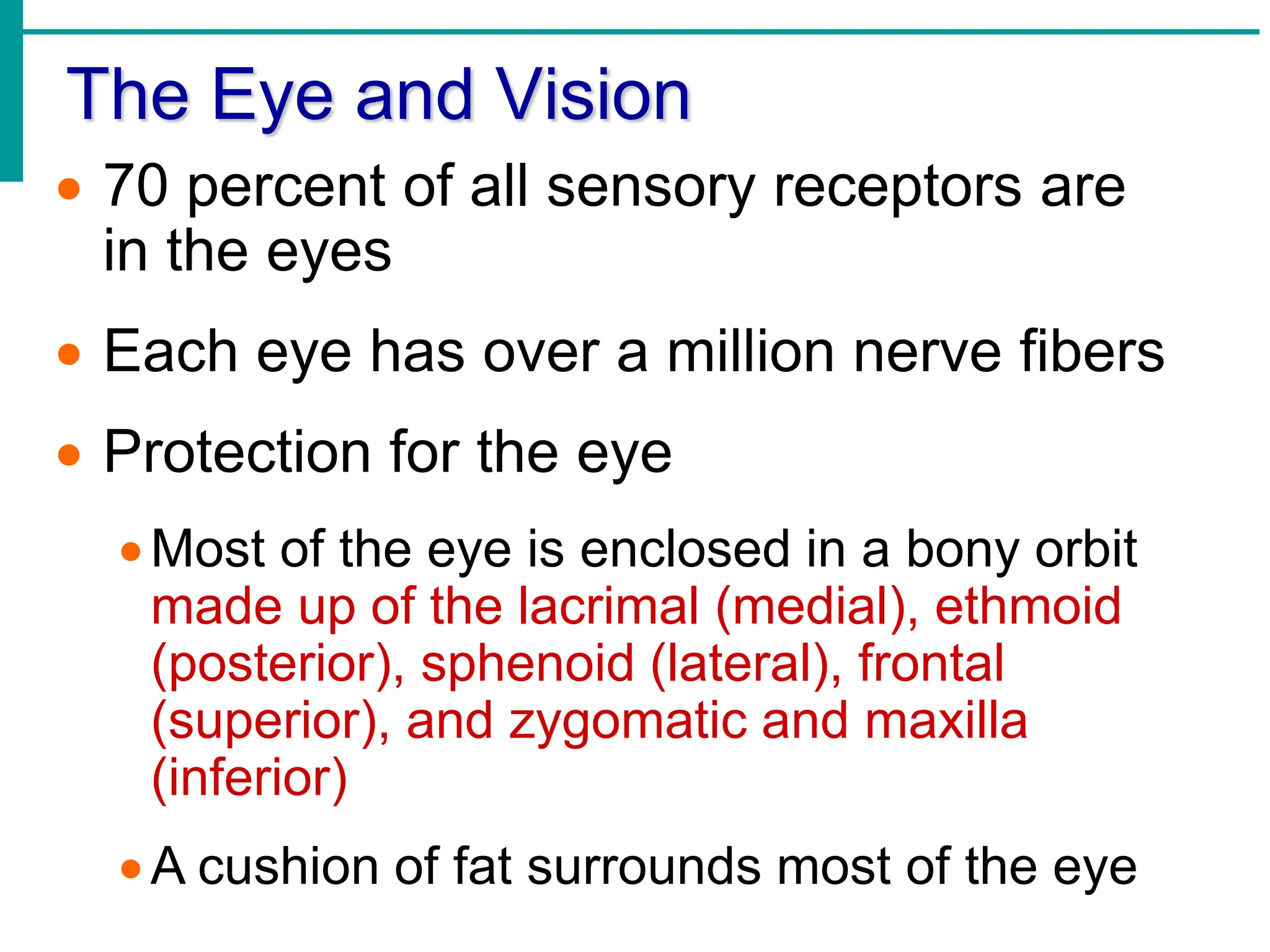 visual sense eye structures of eye anatomy of eye .pptx