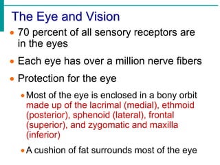 visual sense eye structures of eye anatomy of eye .pptx