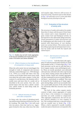 Visual soil evaluation- realizing potential crop production with ...