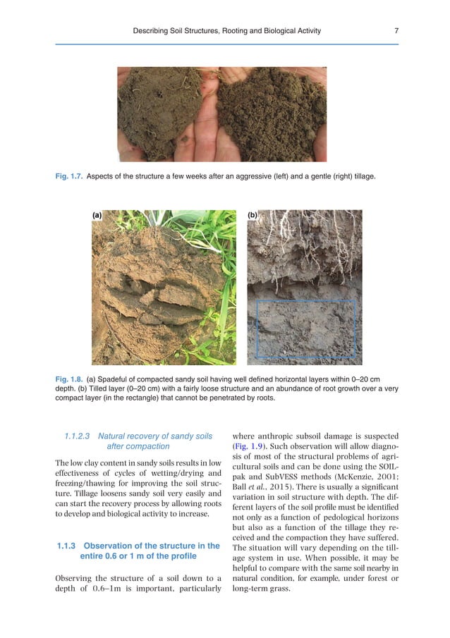 Visual soil evaluation- realizing potential crop production with ...