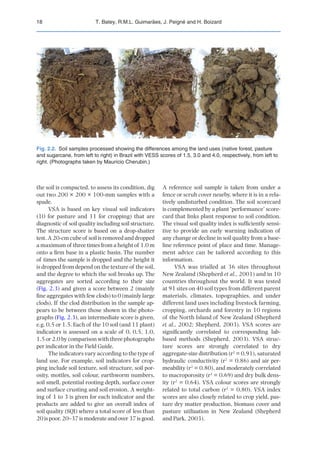 Visual soil evaluation- realizing potential crop production with ...