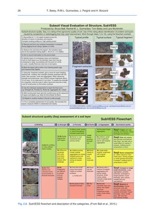 Visual soil evaluation- realizing potential crop production with ...