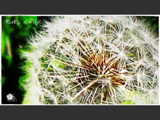 Visual Spark ~ Ignite Your Creativity | PPT