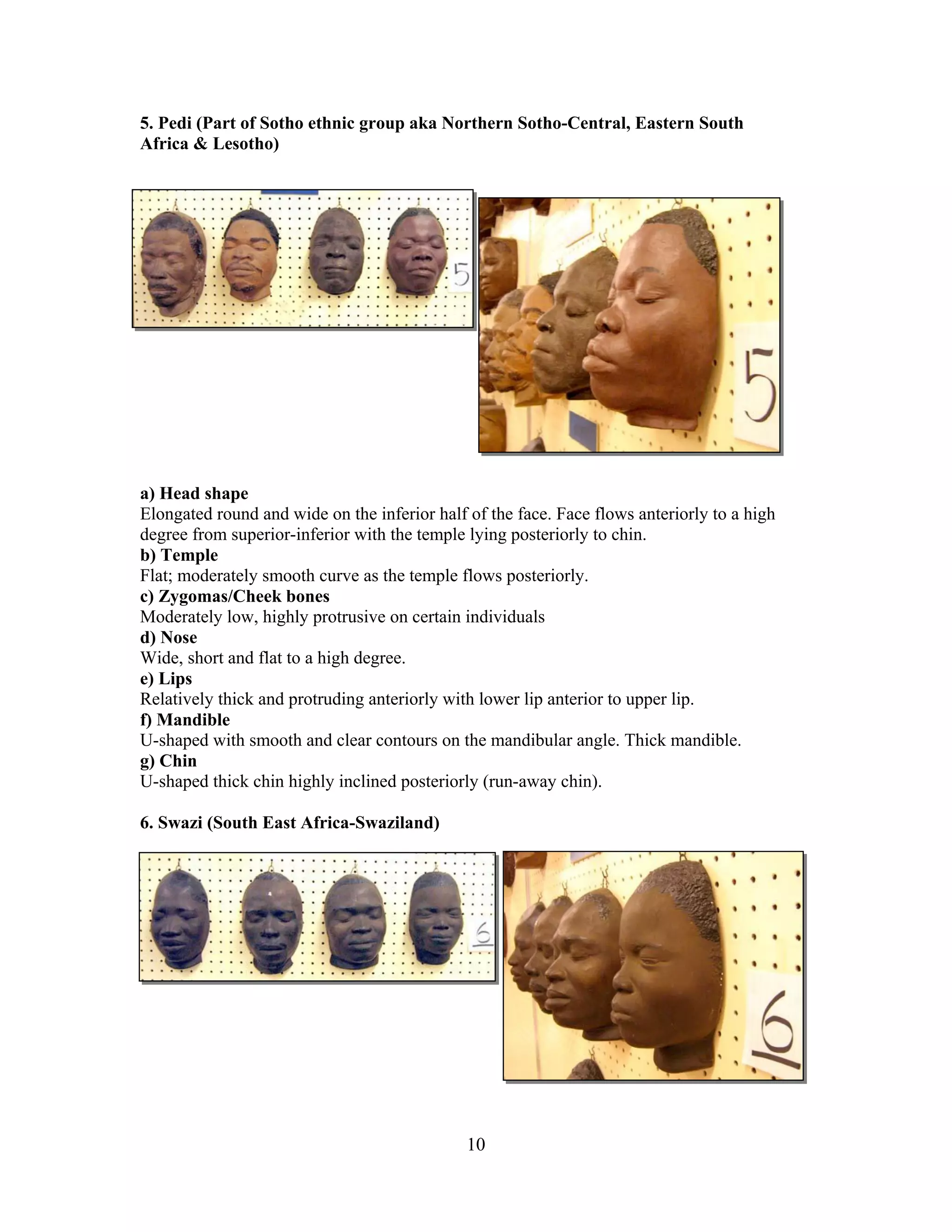 Facial Morphology of Southern African Ethnic Groups | PDF | Africa ...