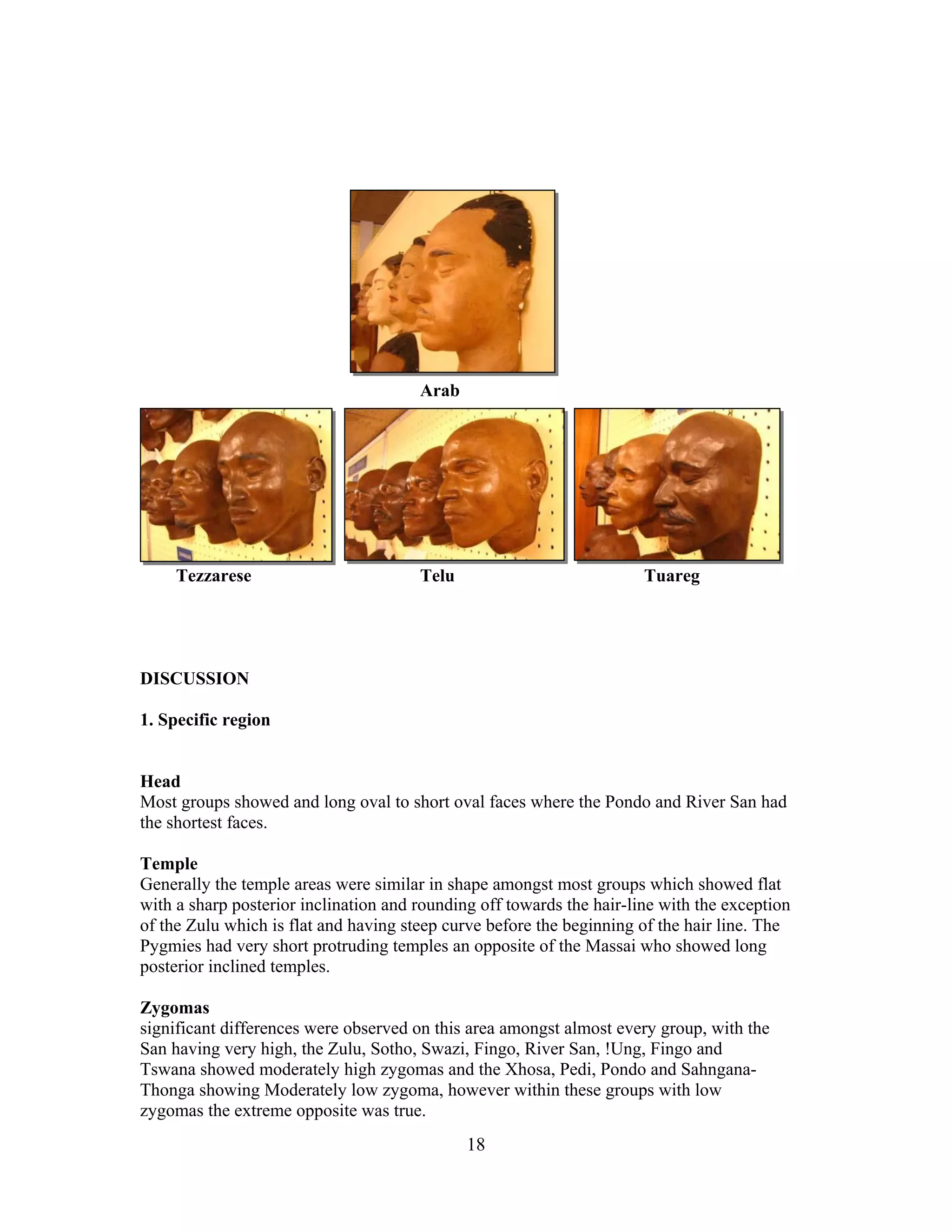 Facial Morphology of Southern African Ethnic Groups | PDF
