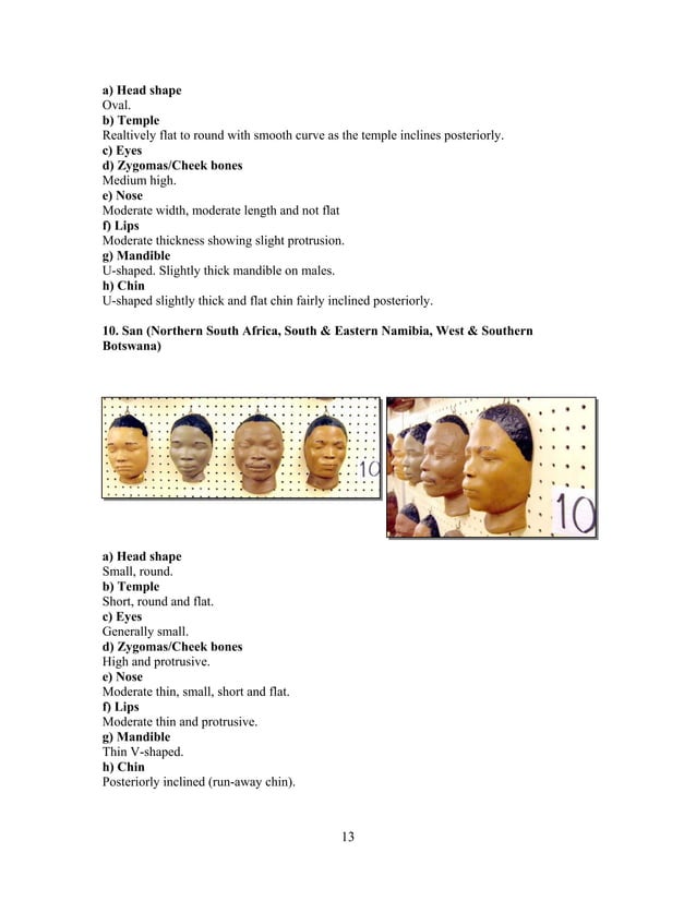 Facial Morphology of Southern African Ethnic Groups | PDF | Africa ...