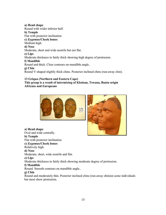 Facial Morphology of Southern African Ethnic Groups | PDF | Africa ...