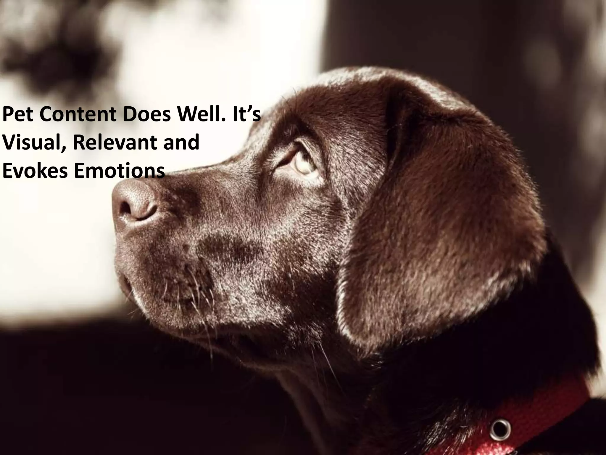 Visual Storytelling | PPT