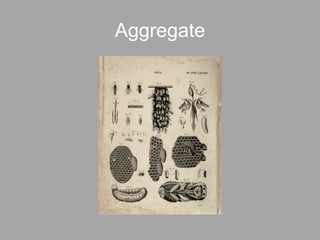 Visual Storytelling | PPTX