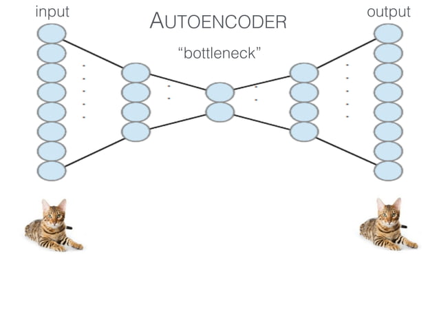 Article Overview Unsupervised Learning Of Visual Structure Using