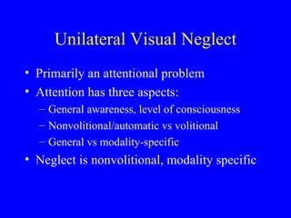 Visual system | PPT