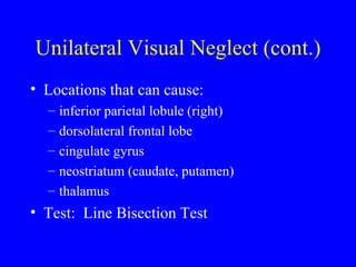 Visual system | PPT