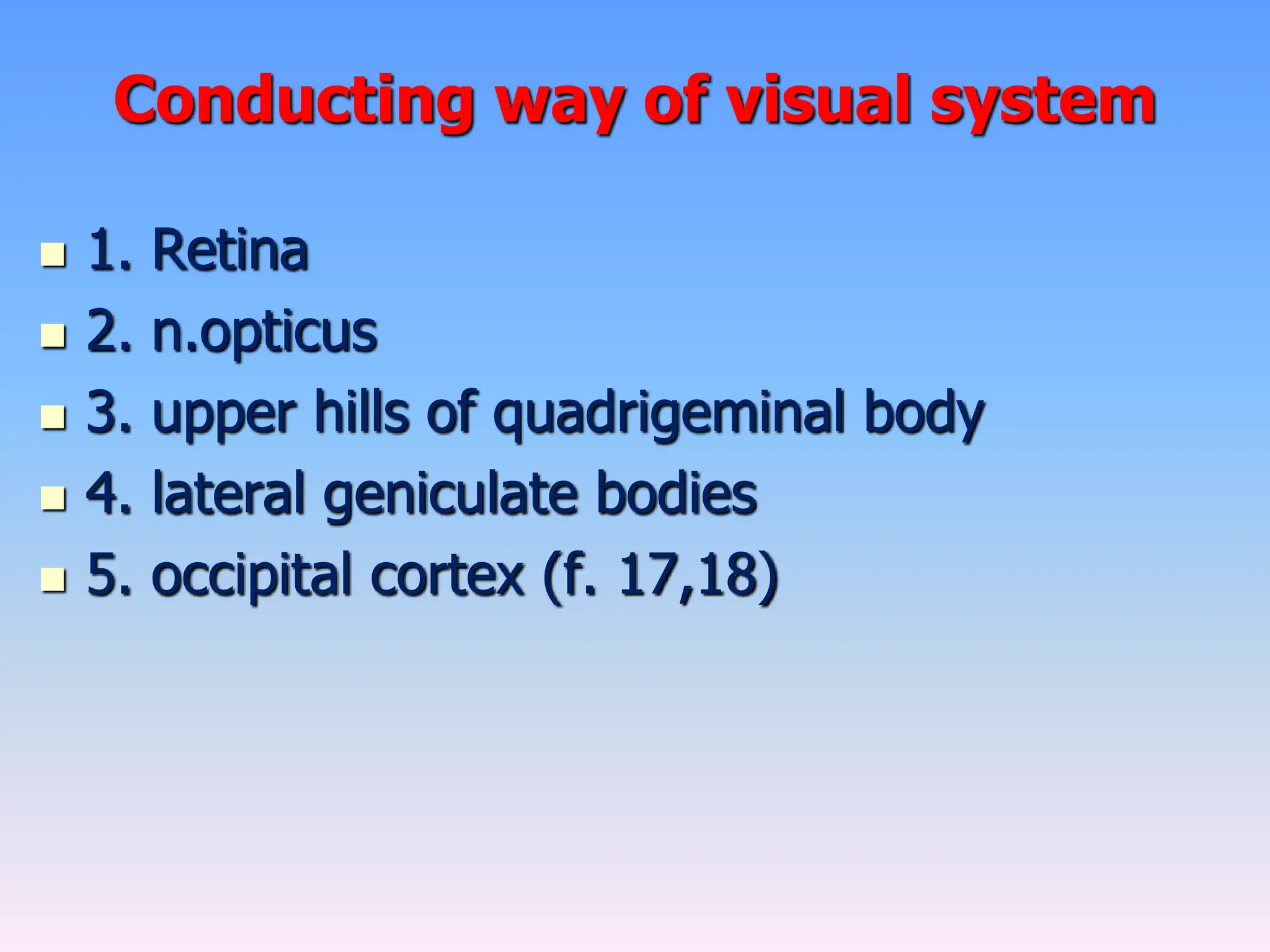 Visual system.pptpptpptpptpptpptpptpptpptpptppt | PPT