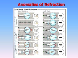 Visual system.pptpptpptpptpptpptpptpptpptpptppt | PPT | Free Download
