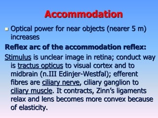 Visual system.pptpptpptpptpptpptpptpptpptpptppt | PPT