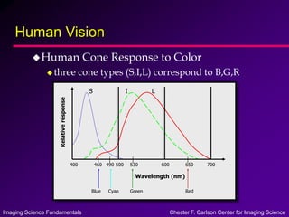 VisualSystemAnatomy.ppt