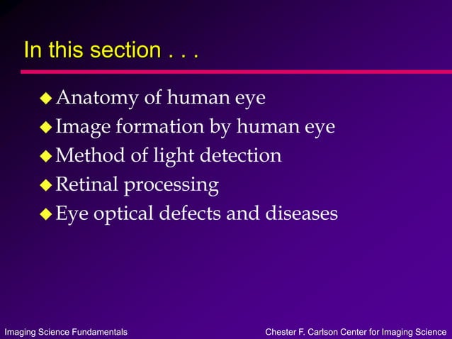 VisualSystemAnatomy.ppt