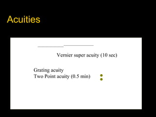 Visual thinking colin_ware_lectures_2013_15_visual resolution and the ...