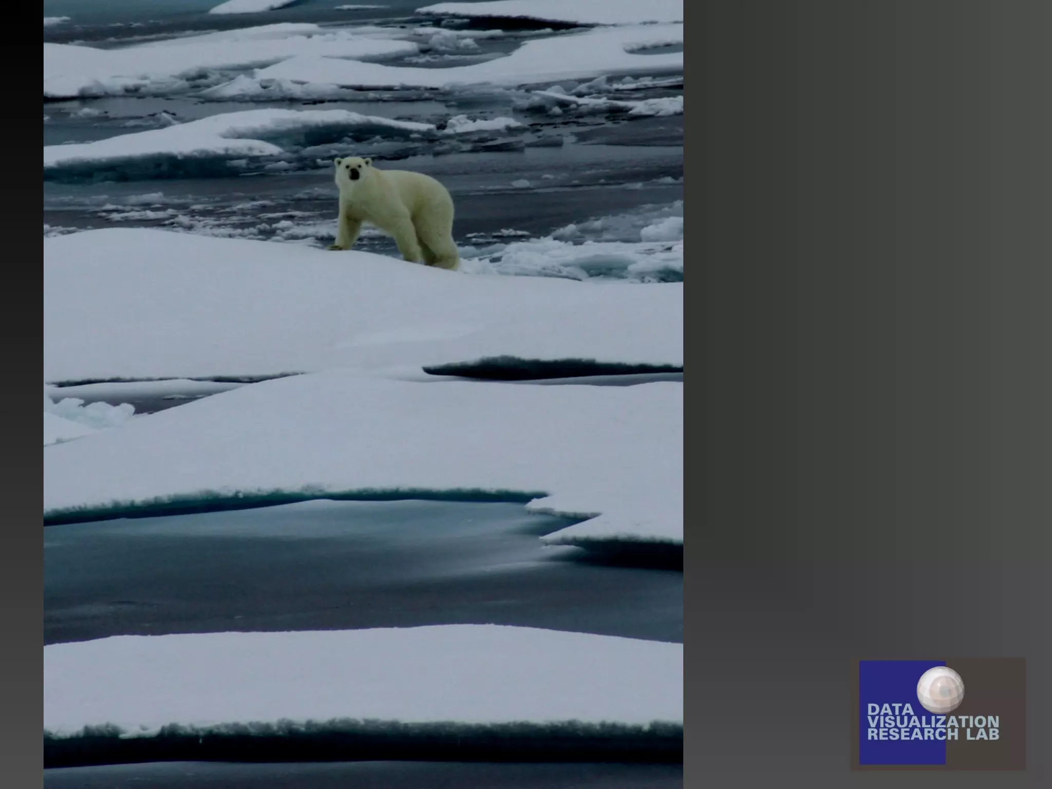 Visual Thinking Colin Ware Lectures 2013 1 Introduction Ppt