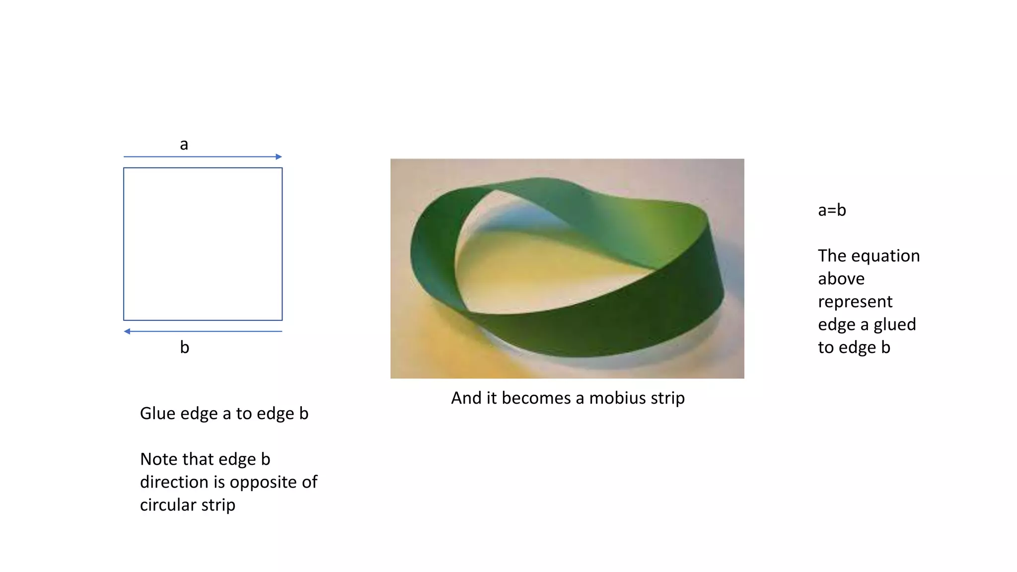 Visual topology | PPT