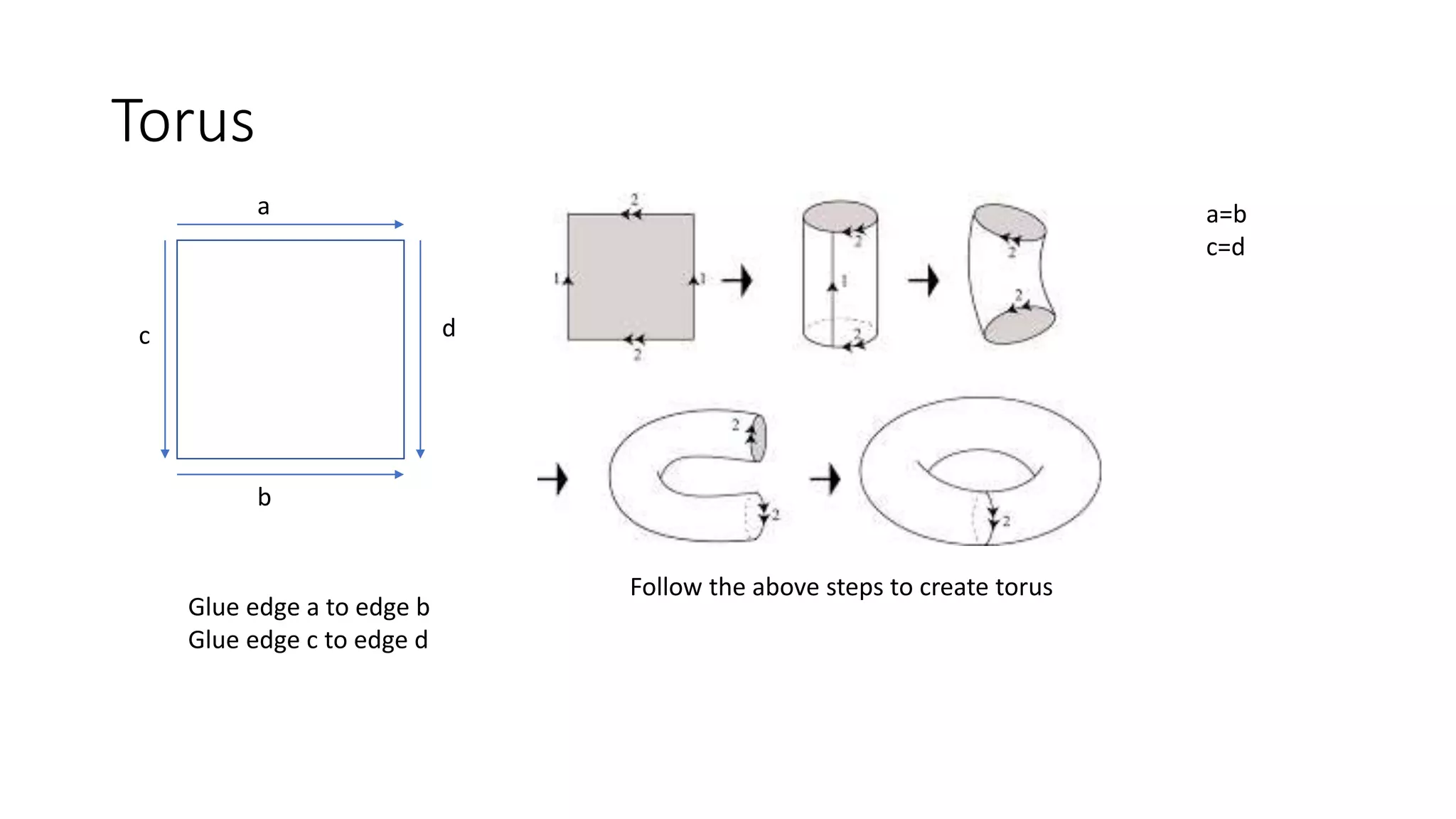 Visual topology | PPT
