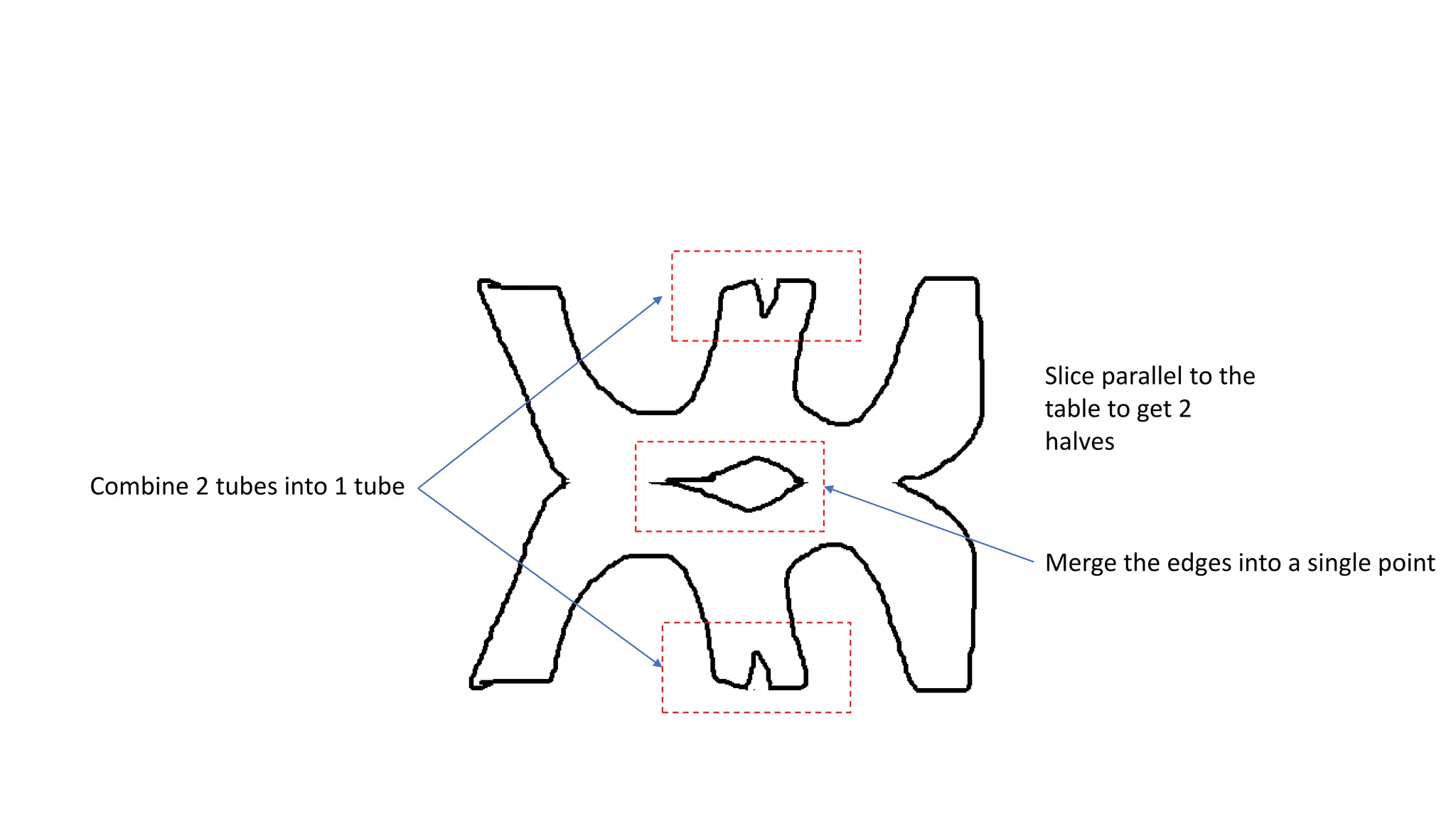 Visual topology | PPT