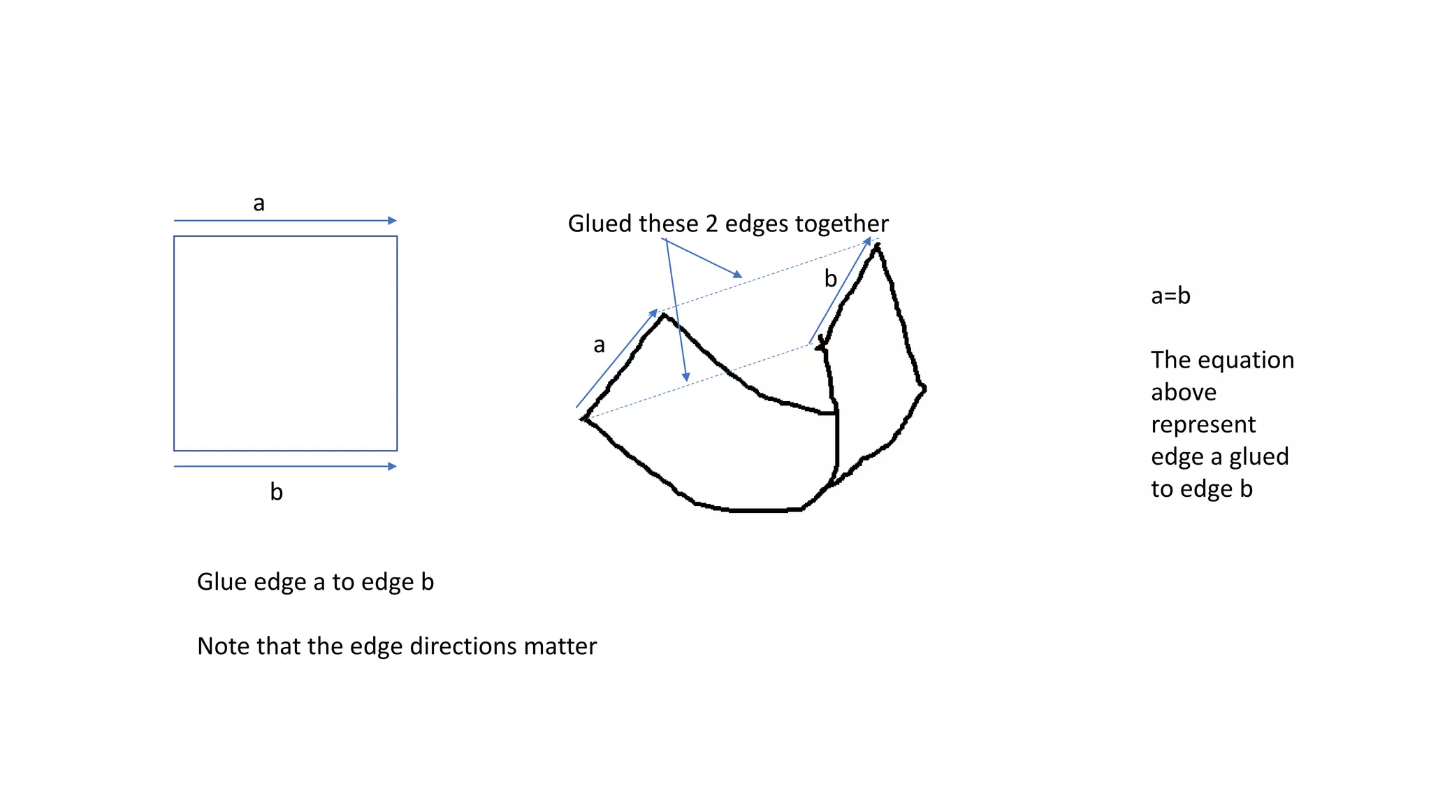 Visual topology | PPT