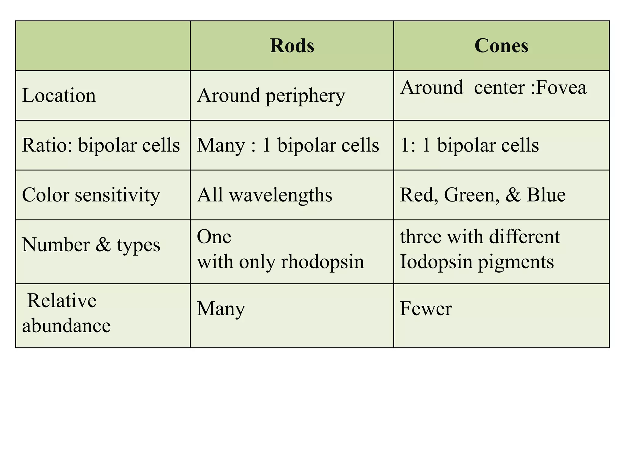 Visual transduction ppt 2021 | PPTX